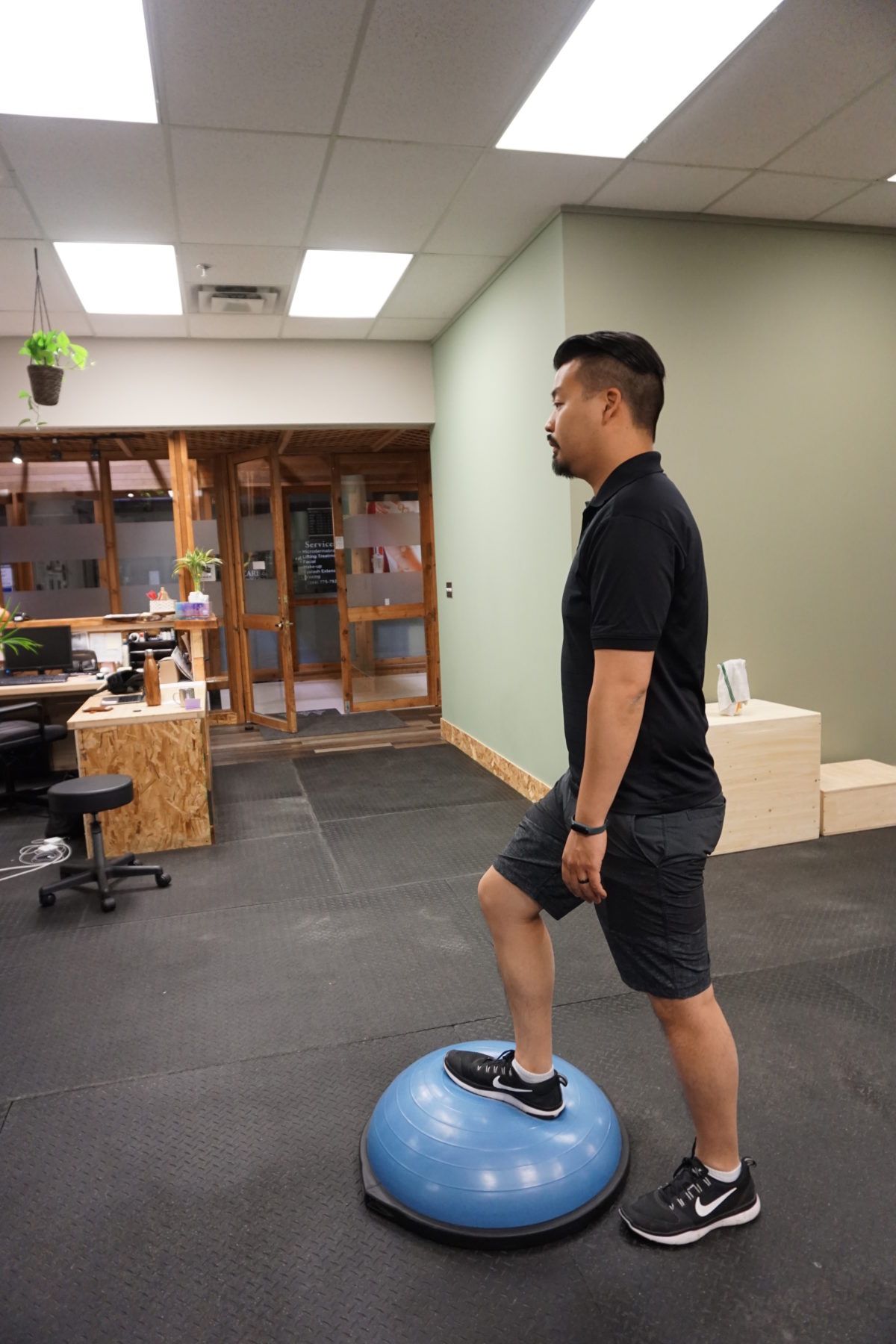 Bosu Step Ups - Zen Physiotherapy