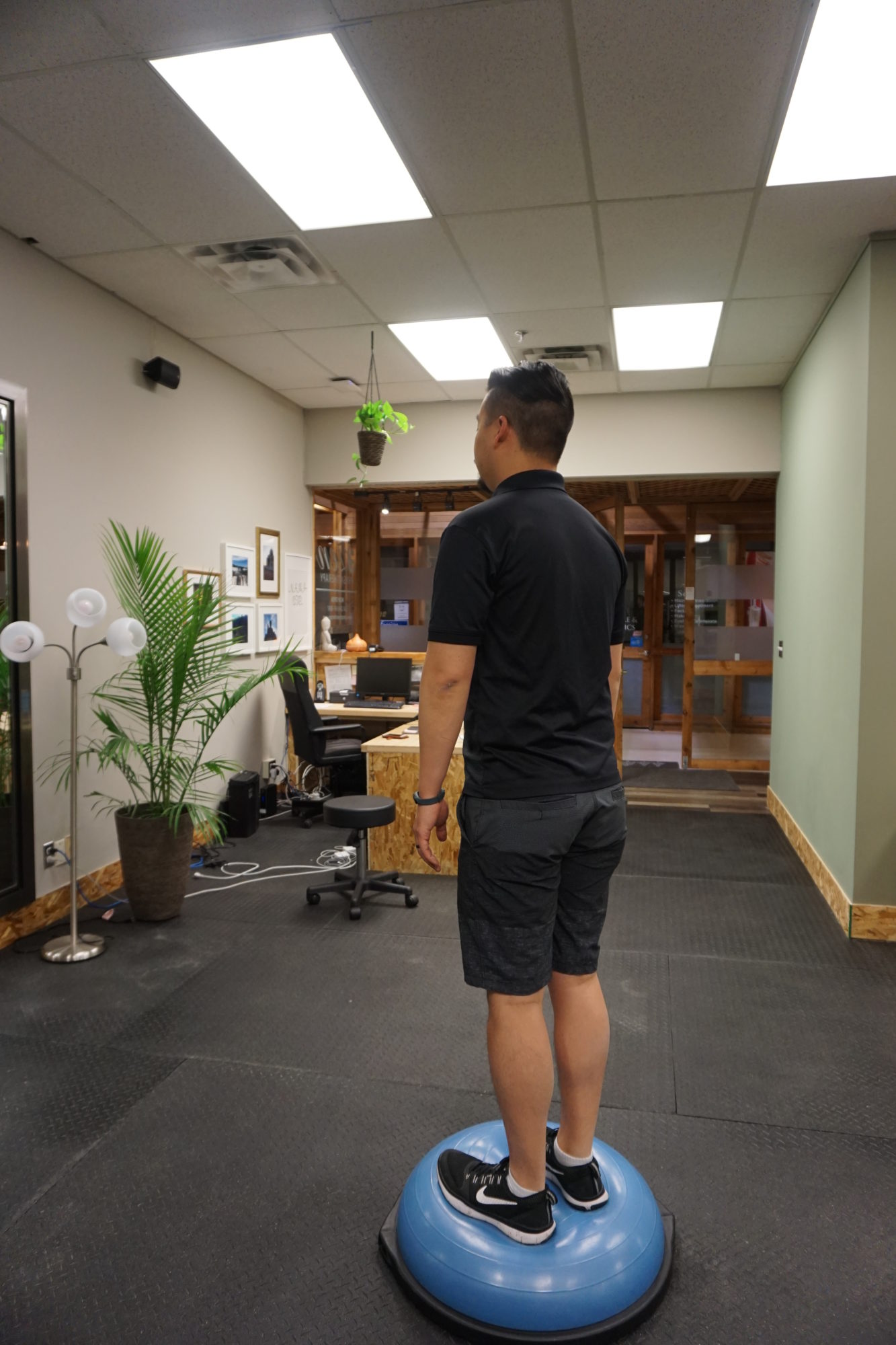 Bosu Step Ups - Zen Physiotherapy